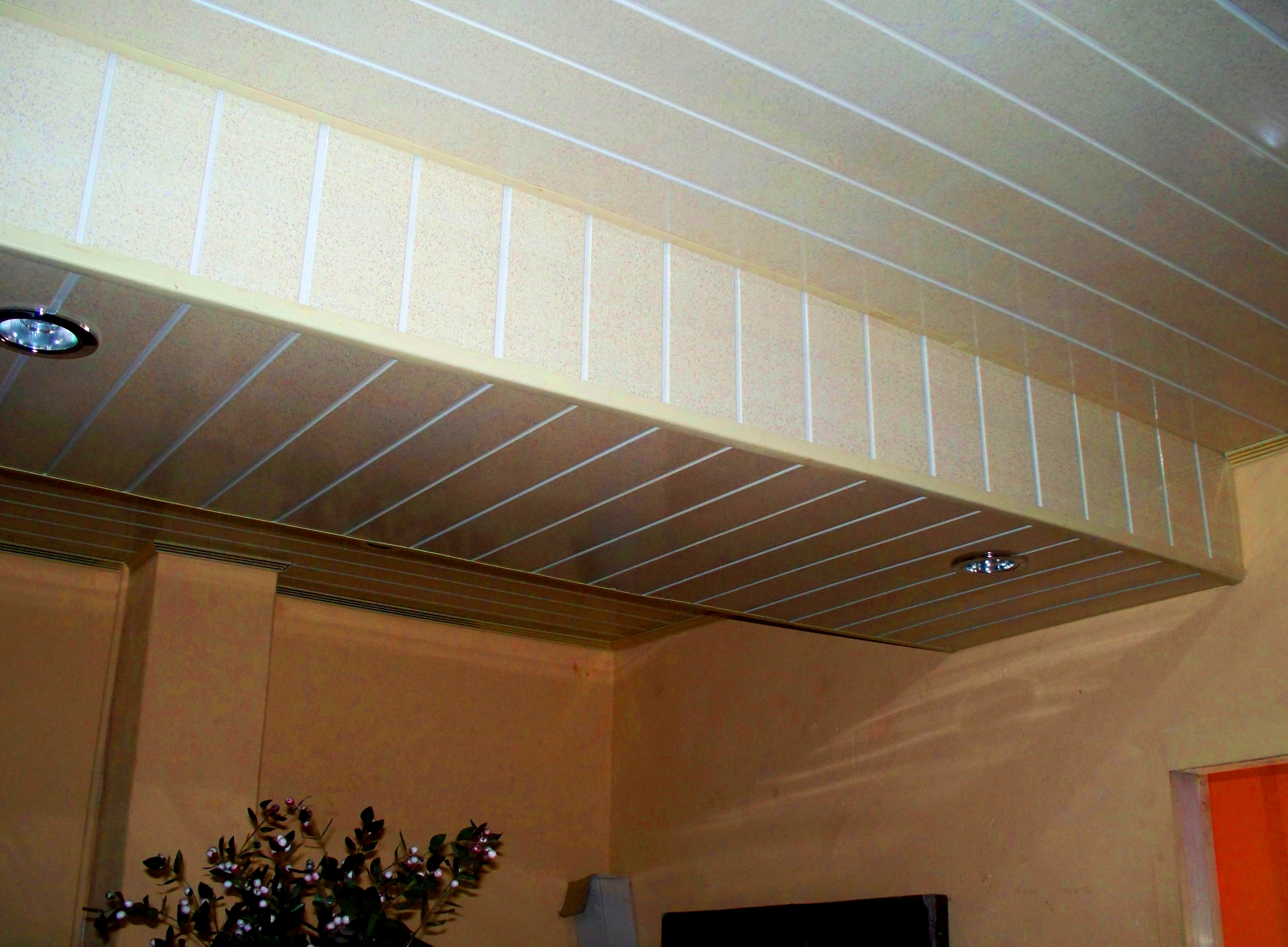 PVC Ceiling Designs – Pionare Enterprises Ltd.