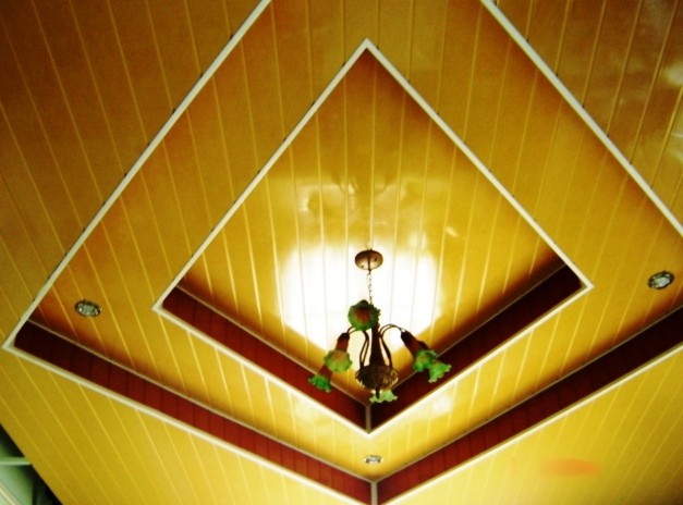 PVC Ceiling Designs – Pionare Enterprises Ltd.